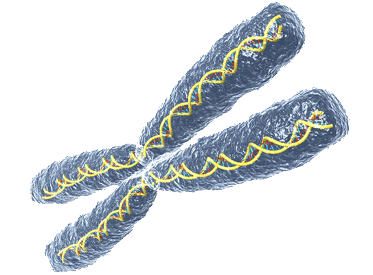 Presentation Name on emaze